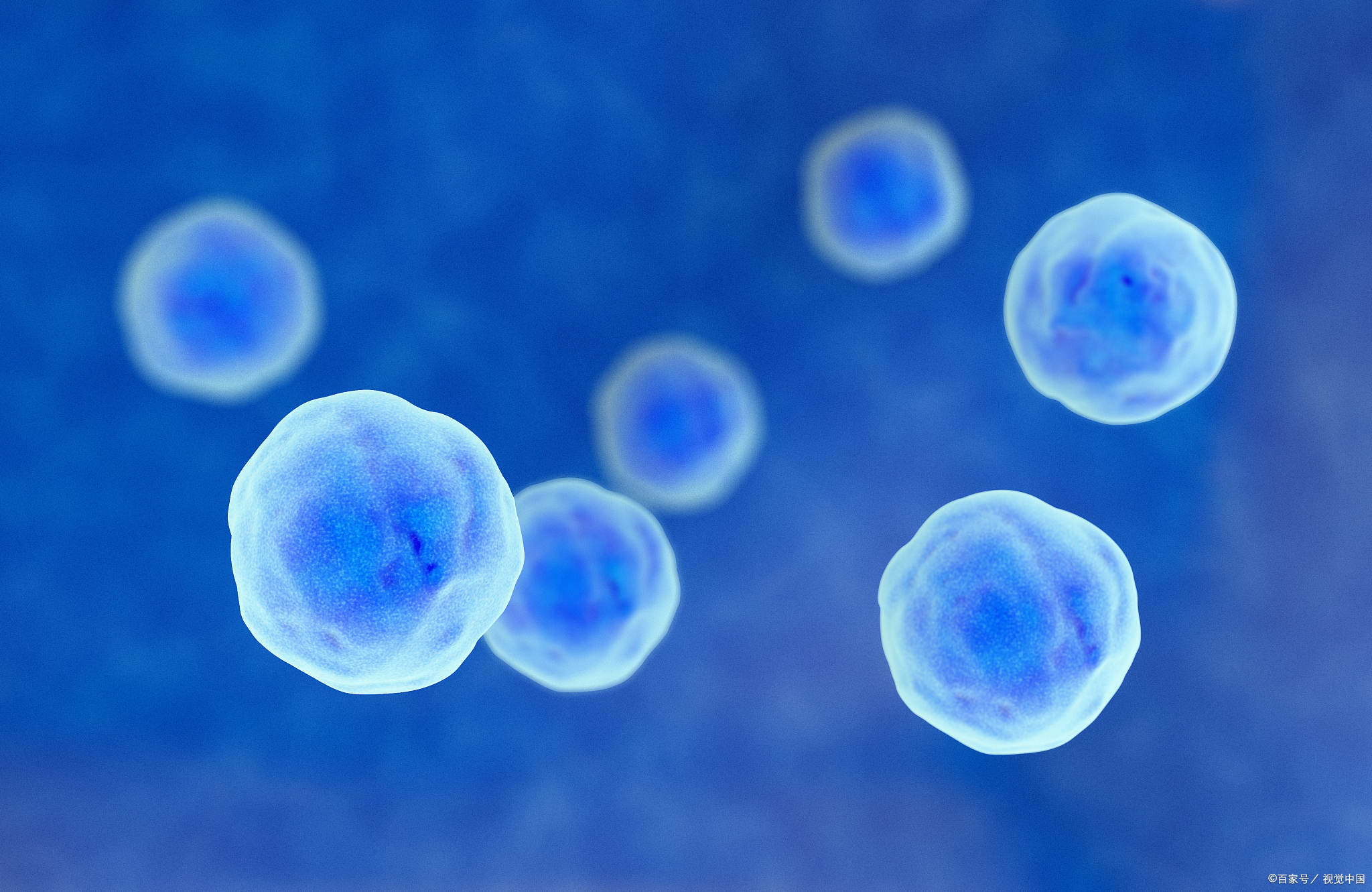 2025年，间充质干细胞（MSCs）在糖尿病并发症干预领域的研究解析