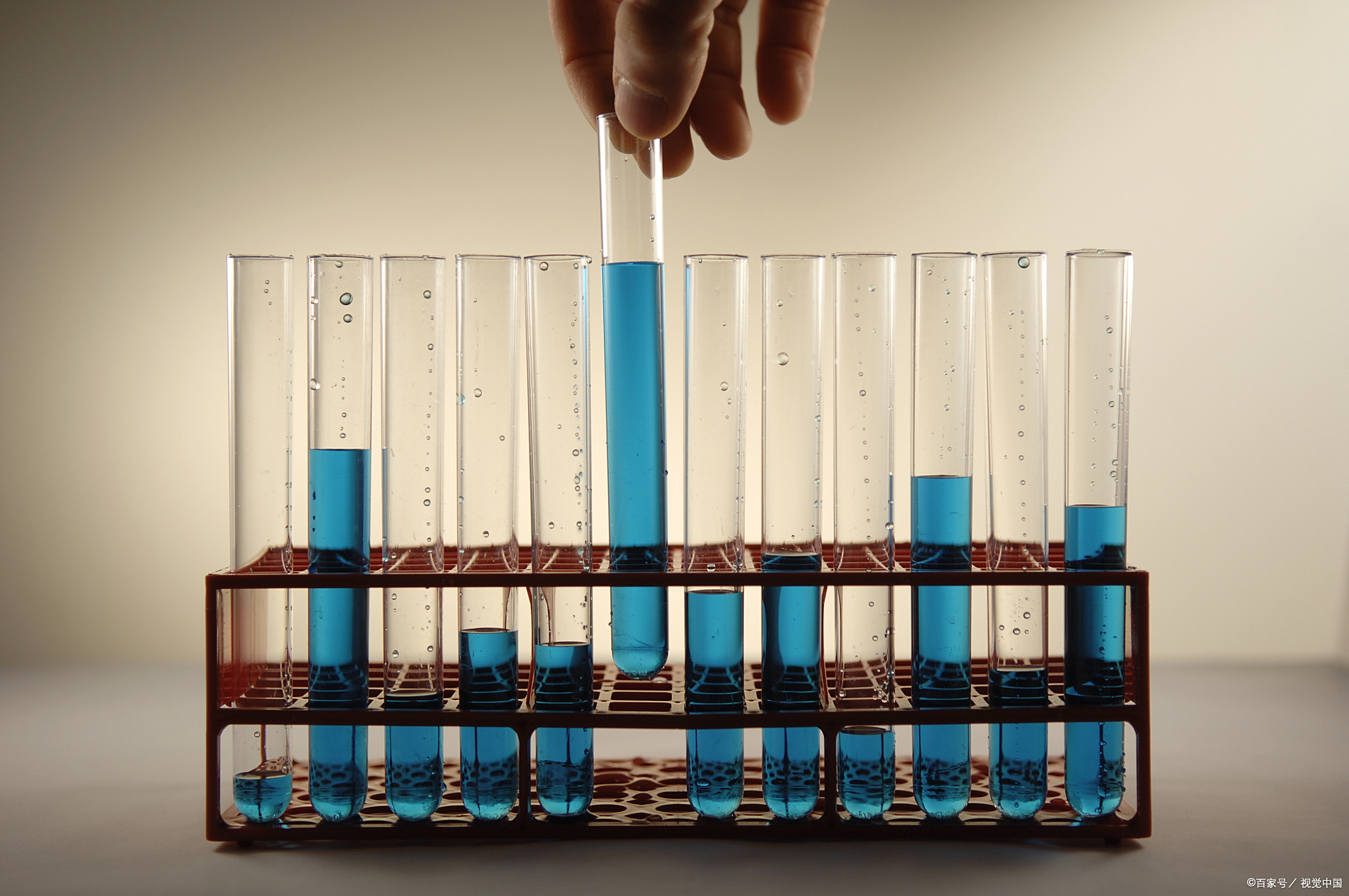 Rhodamine-WGA，RB-WGA可以用作细胞膜糖蛋白的标记物